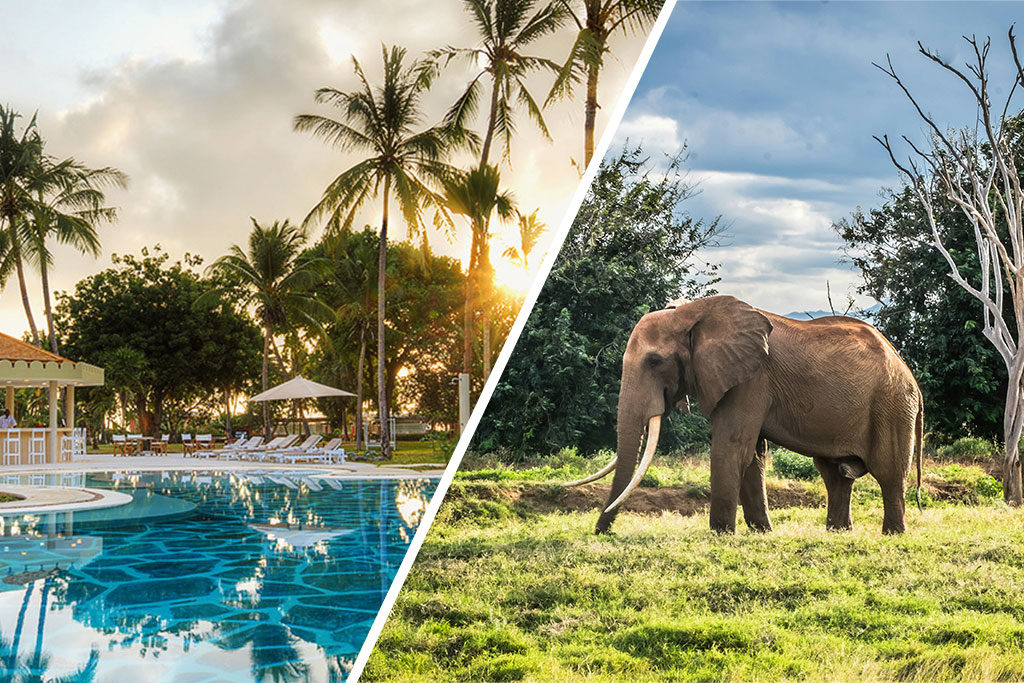 Combiné Ôclub Select Diamonds Malindi 5* + Safari Kudu Camp 1 nuit ...