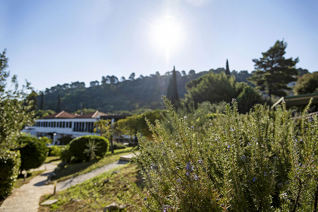 TUI Blue Kalamota Island 4* Adult Only +16 by Ôvoyages, Croatie | Ôvoyages